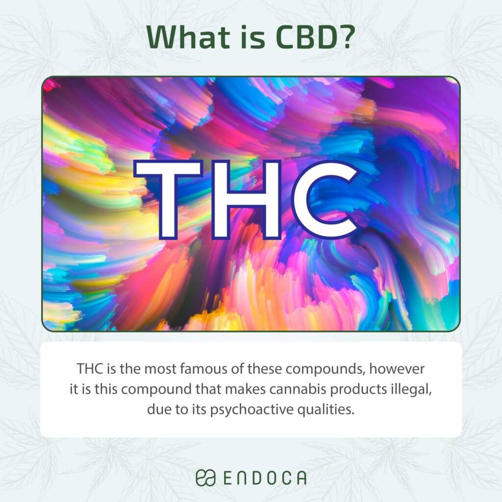 The difference between CBD vs THC- All you need to know - Endoca© CBD