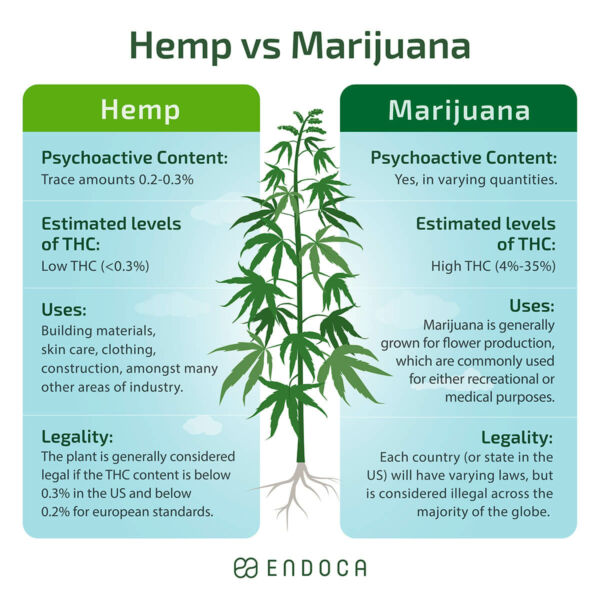 The difference between CBD vs THC- All you need to know - Endoca© CBD
