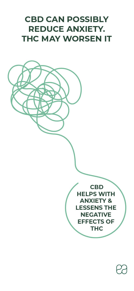 CBD VS THC: learn the differences | Endoca© CBD