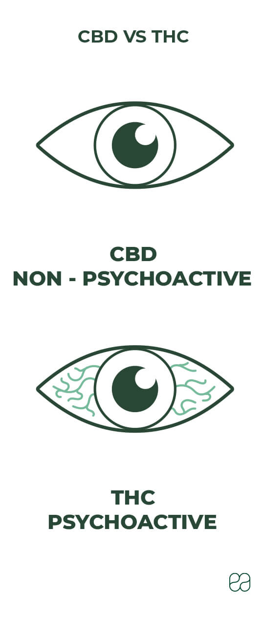 CBD VS THC: learn the differences | Endoca© CBD