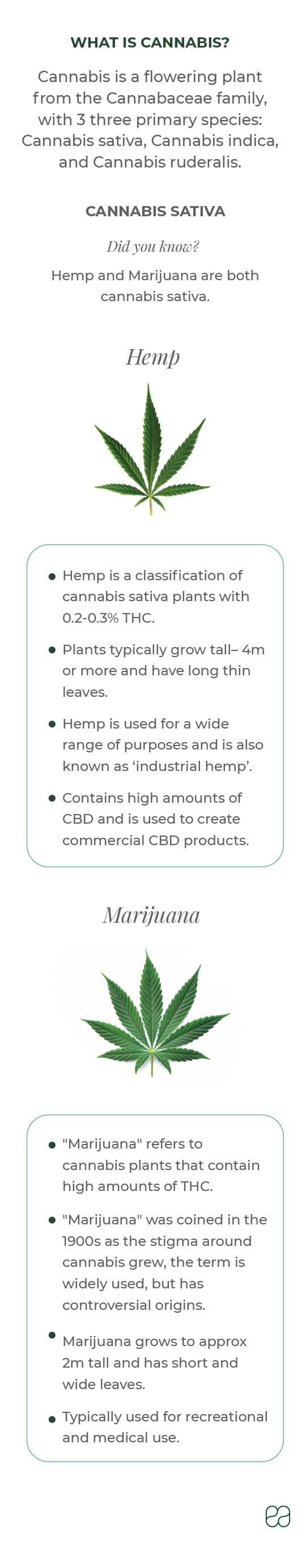 CBD VS THC: learn the differences | Endoca© CBD